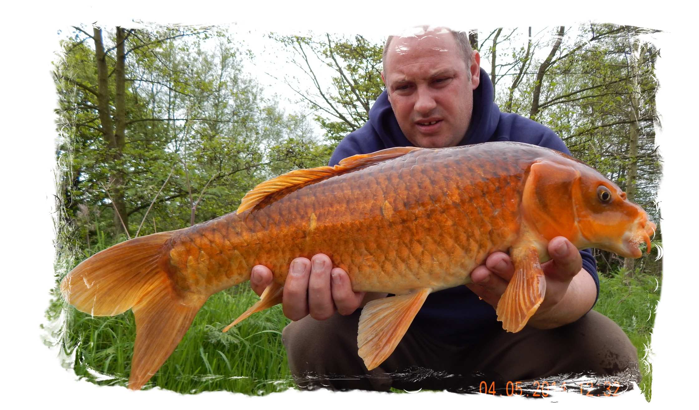 Tetley Angling - Gallery - Cheshire's Leading Specimen water and Carp Water